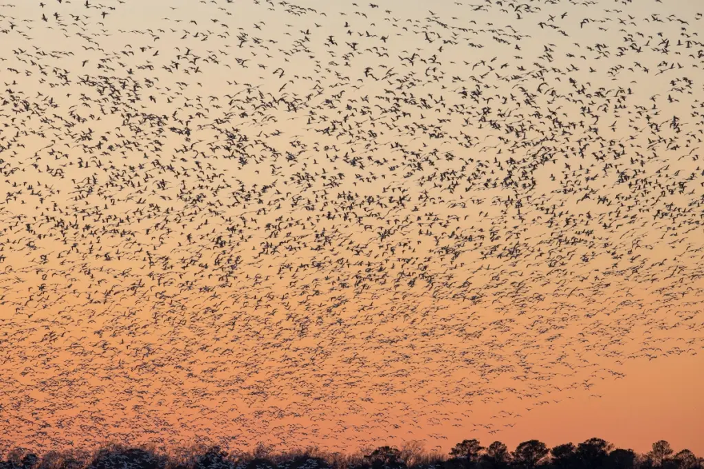 15 Best Things To Do When Visiting Winnie, Texas | Karta