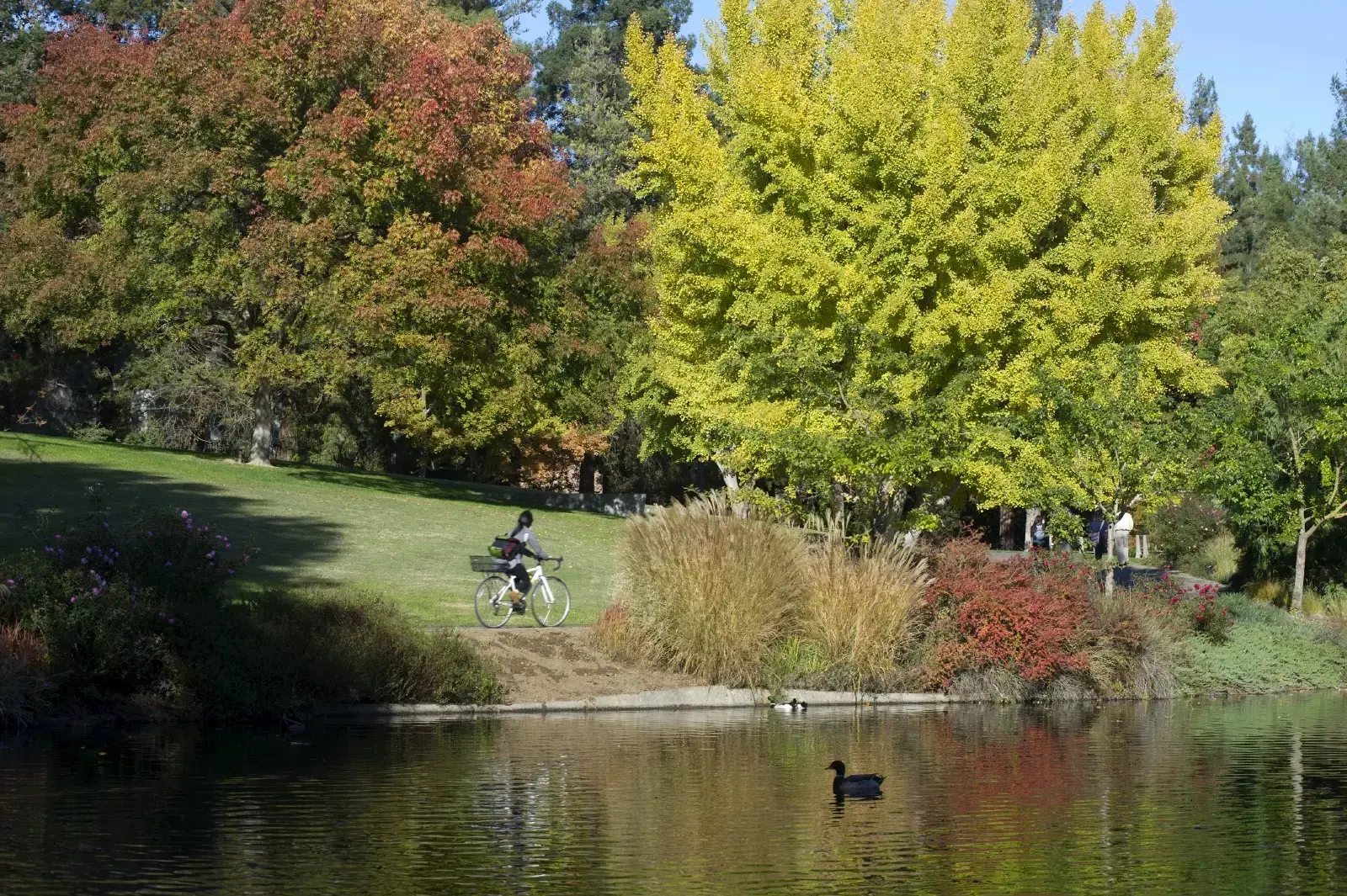 7 Amazing Things To Do In Davis, CA | Karta