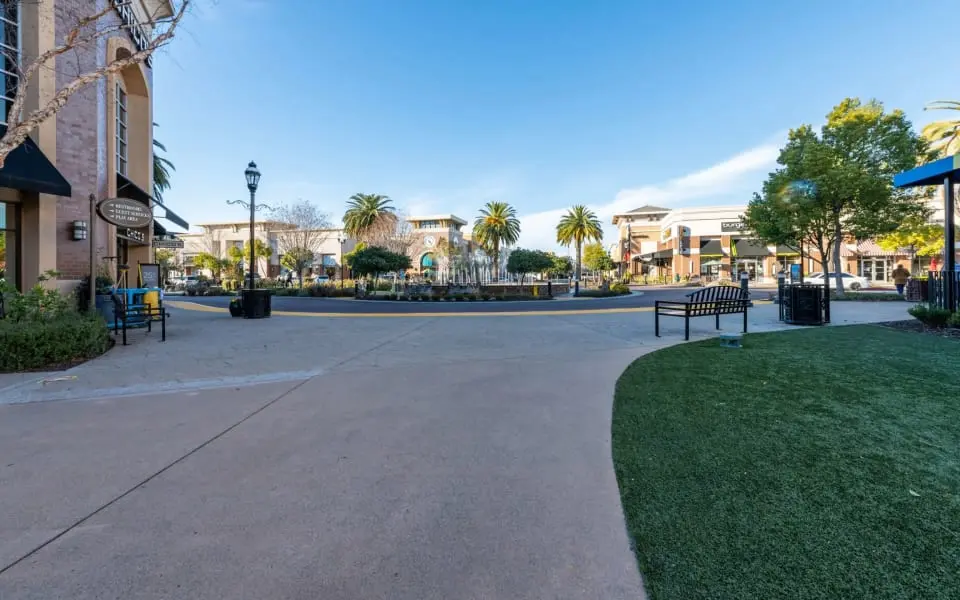 10 Fun Things To Do In Roseville For Adults | Karta